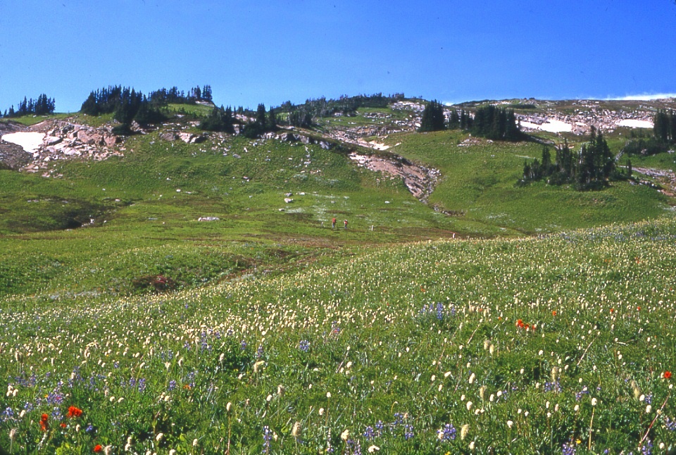 Bonanza Peak to Glacier Peak via Miners Ridge September 1968
